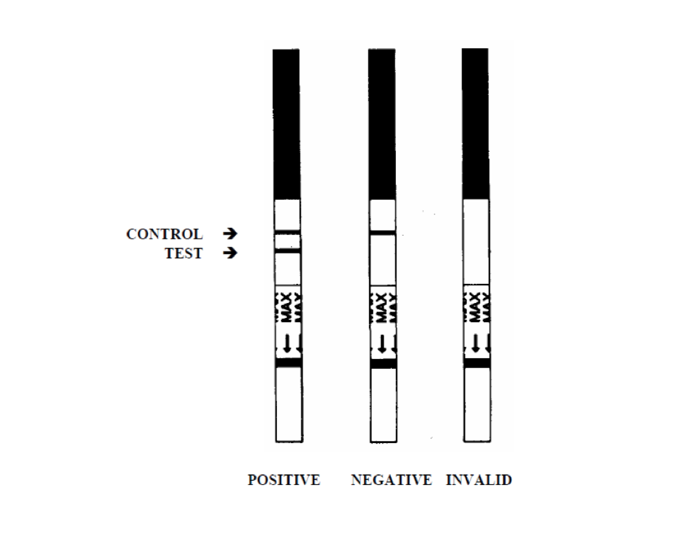 Quickstick HCG Pregnancy Test – The Nest Clinic
